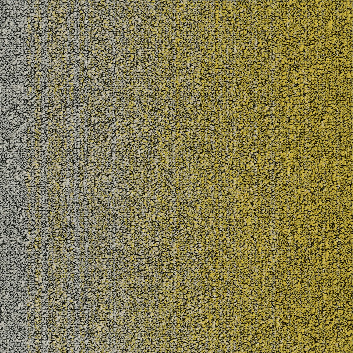 Fuse Create | FLRHUB