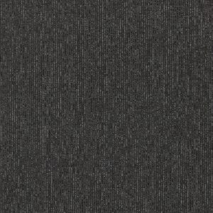 Latin (QuietBack) | FLRHUB