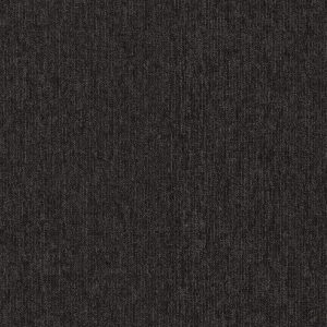 Latin (QuietBack) | FLRHUB